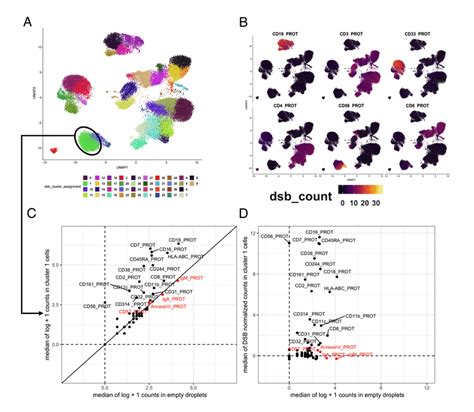 A A Umap Visualization Of Clusters Of Single Cells Color Labeled By