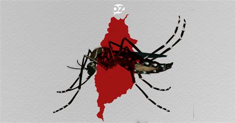 Casos De Dengue Crescem 5 Vezes Em Osasco Ativoz