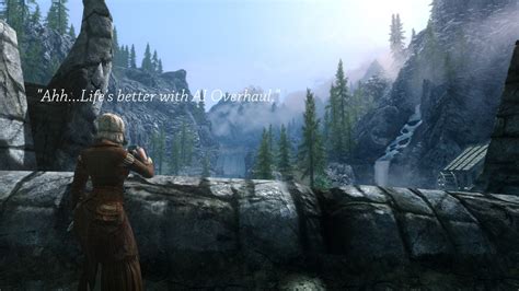Bijin AIO and AI Overhaul Synergy Patch パッチ Skyrim Special Edition