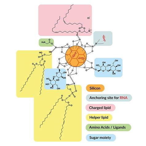 How Sisaf Solves Lipid Nanoparticles Manufacturing Challenges Sisaf