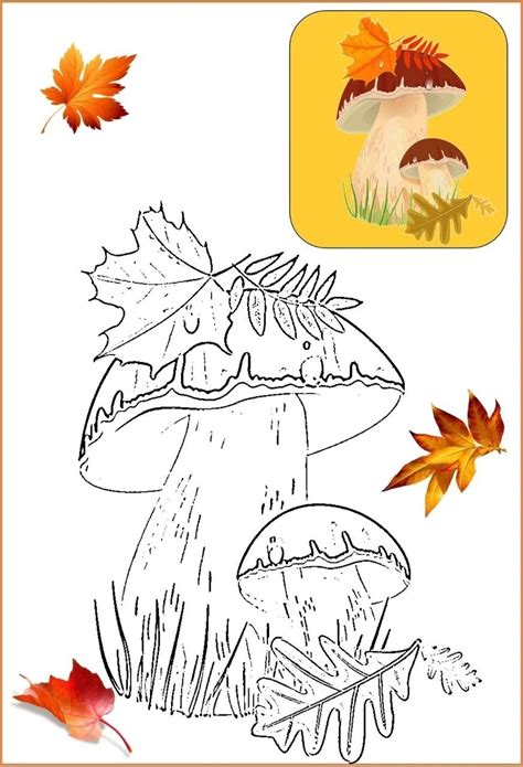 Хэрэгтэй Хэвлэл Намар буддаг зураг