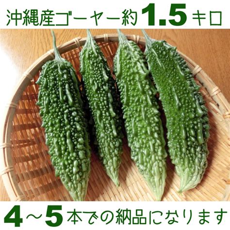 沖縄産のゴーヤー約1．5キロ┃今夜の夕食は沖縄育ちの苦瓜でゴーヤーチャンプルー｜yahooフリマ（旧paypayフリマ）