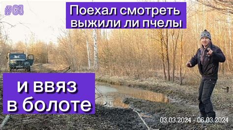 Поехал смотреть выжили ли пчелы и ввяз в болоте Youtube