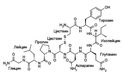 Окситоцин Капельница – Telegraph