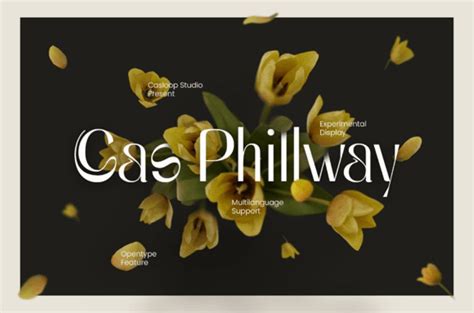 Cas Philway Font Creative Fonts