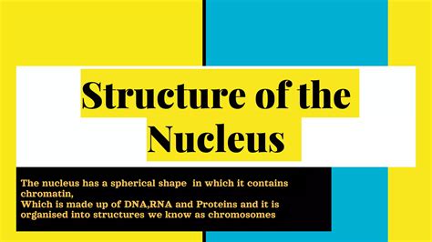 Ppt Nucleus Pptx