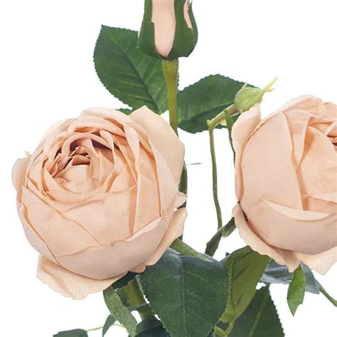 Artificial Rose Adele Spray 73cm Blush Pink Pack Of 12 — Flora Designs
