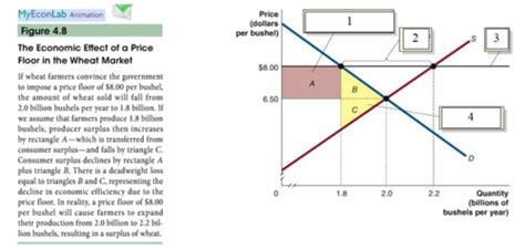Chapter The Efficiency Of A Competitive Market Flashcards Quizlet