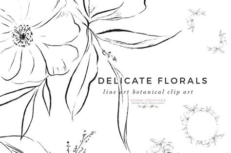 Delicate Line Art Floral Clipart Line Art Floral Art Clip Art