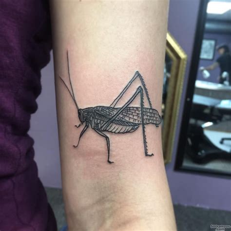 Grasshopper Tattoo Photo Num 12937