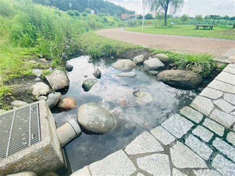【横浜市泉区】境川遊水地公園の噴水広場で水遊び！ ふじさわいわいブログ