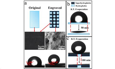 A The Sem Images Of Substrate Surface About Original Ptfe And Engraved Download Scientific