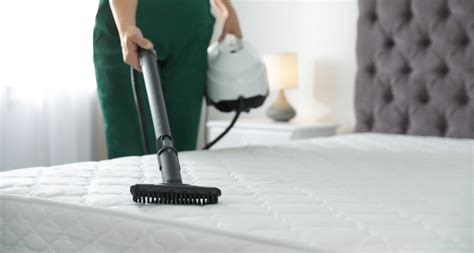 Top 5 Best Bed Bug Sprays 2025 Todays Homeowner