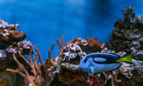 Gili Utopia Yacht Cruise