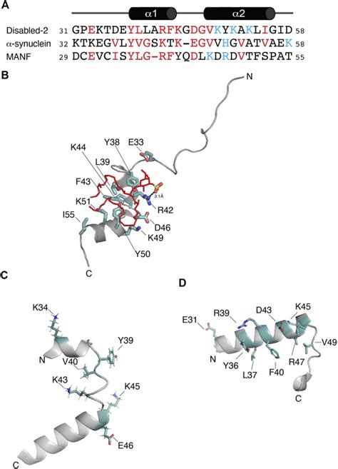The Repertoire Of Protein Sulfatide Interactions Reveal Distinct Modes