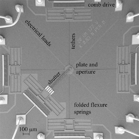 Mems Pvd A False Color Sem Image Of Micro Evaporation Sources B Download Scientific