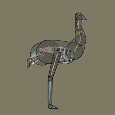 Video Tutorial The Official Comprehensive Course About Duik Ángela On