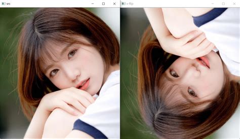 Opencv4（13） 图像翻转（c，python，js） 入门 Opencv 人工智能 Aayu Yain 学无止境