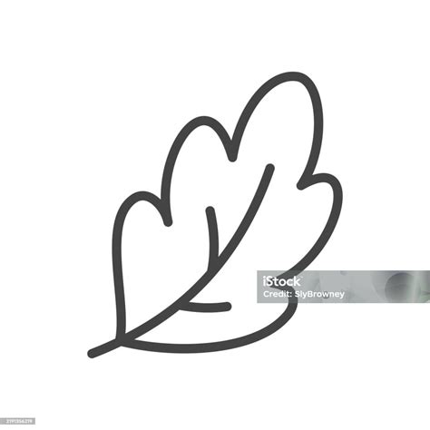 Cute Oak Leaf Icon Stock Illustration Download Image Now Art