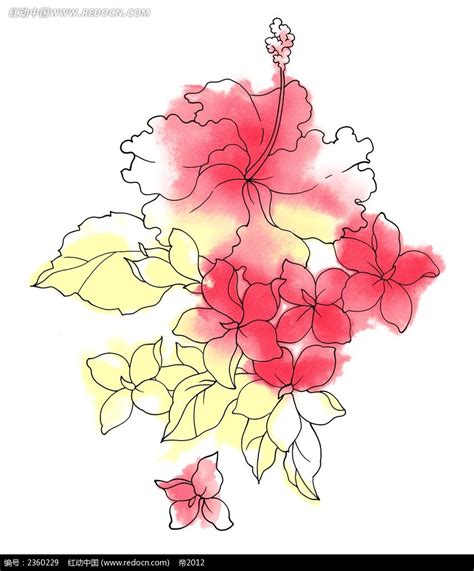 一团扶桑花水彩手绘画psd素材免费下载红动网