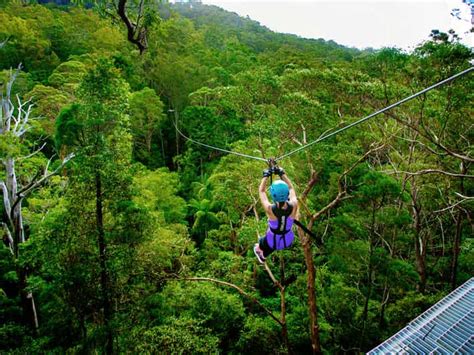 TreeTop Challenge Canyon Flyer Guided Zipline Tour GetYourGuide