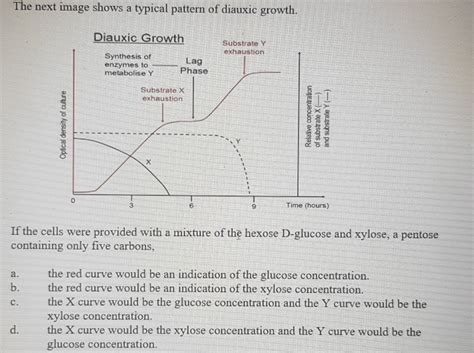 Solved The Next Image Shows A Typical Pattern Of Diauxic