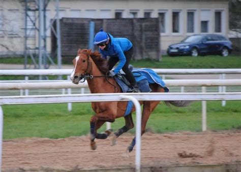 Schon Fest Im Sattel Rennstall Grewe