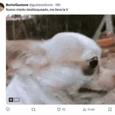 Joven Miente En Su Cv Pone Que Domina El Uso De ‘excel Y Pasa