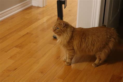 Daniel Tuttle Danieltuttle0 Twitter