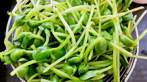比较上档次的凉菜芽菜 上档次的菜 上档次的菜品图片 大山谷图库