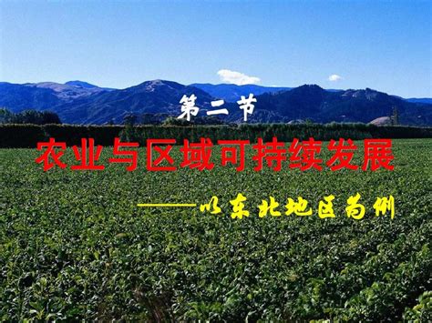 第二节 农业与区域可持续发展——以东北地区为例2012419947411word文档在线阅读与下载无忧文档