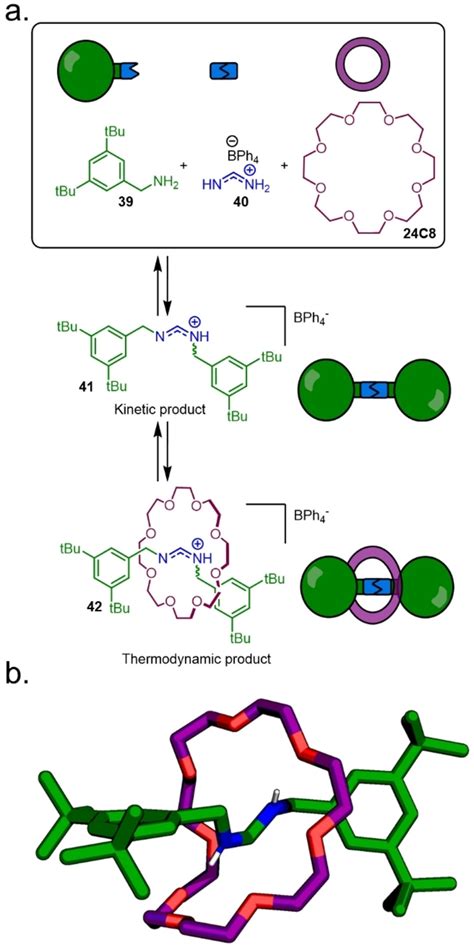 Dynamic Covalent Chemistry For Synthesis And Co‐conformational Control