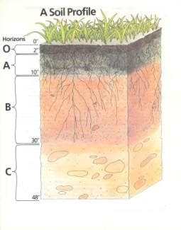 Introduction To Soil Classification Systems Engineersdaily Free Engineering Database