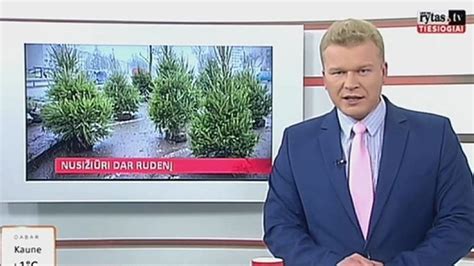 Kalėdinę Eglę Išsirenka Prieš Kelis Mėnesius Ii