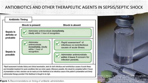 Sepsis And Sepsis Shocktatalaksana Syok Sepsis Pdf