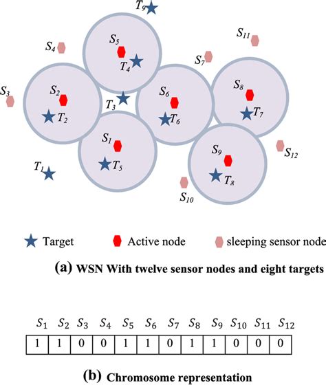 a wsn with twelve sensor nodes and eight targets b chromosome