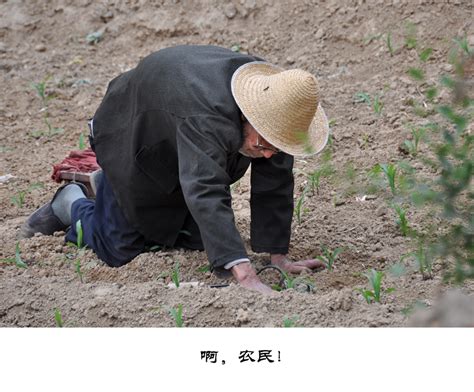 【啊！农民摄影图片】原平市崞阳村纪实摄影雅风王坤太平洋电脑网摄影部落