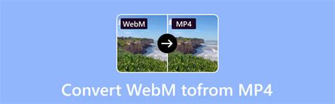 Webm 转 Mp4 和 Mp4 转 Webm：最佳在线和离线方式
