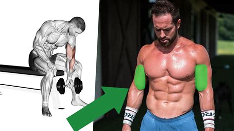 The Best Science Based Bicep Workout For Maximum Muscle Growth Boxrox