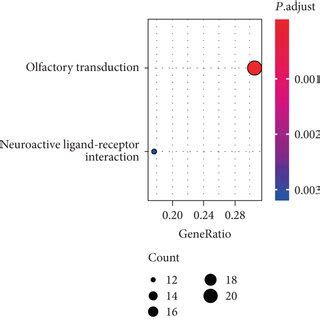Enrichment Analysis Of The DEGs Using ClusterProfiler R Package A GO