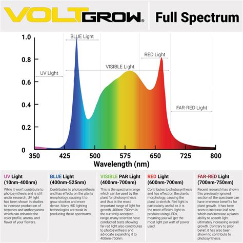 What Is The Best Light Spectrum For Plant Growth