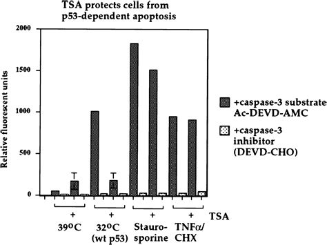 Transcriptional Repression By Wild Type P53 Utilizes Histone