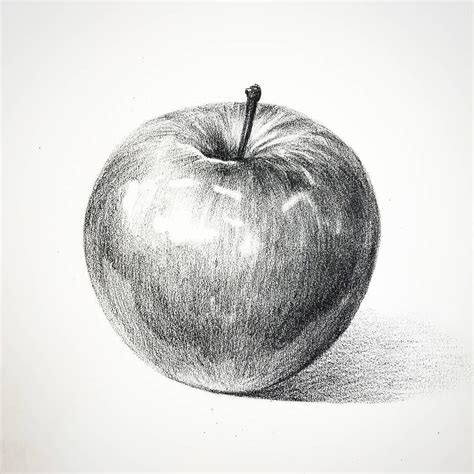 Pencil Shading Apple Drawing