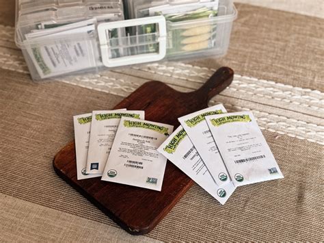 How To Test Seed Viability At Home