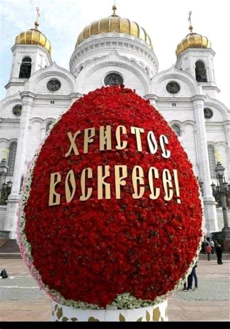 Natasa Tasic Knezevic Posted On Linkedin