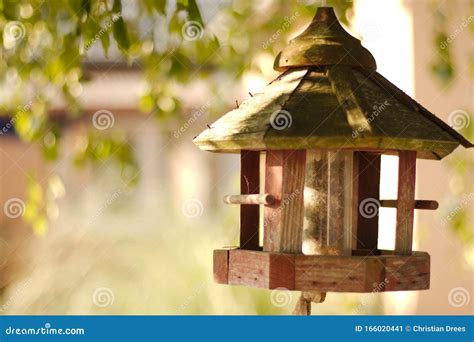 Bird Feeder Hanging On A Tree Stock Image Image Of Tree Backyard
