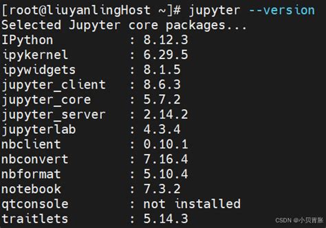 Linux系统远程连接jupyterliunx Jupyter远程访问 Csdn博客