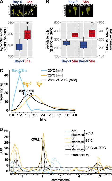 Quantitative Trait Locus Analysis Of Temperature Induced Growth Download Scientific Diagram