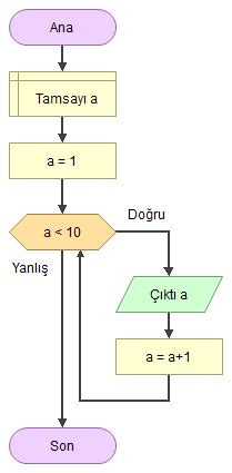 D Ng Yap Lar Dersi Patika Dev