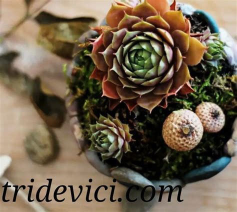 Горшок из полимерной глины